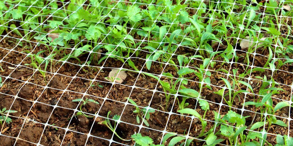 Plastic Net Usage Areas and Features - Netrags®