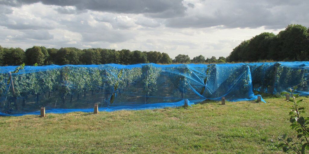 In Which Areas Should a Protection Net Be Used? - Netrags