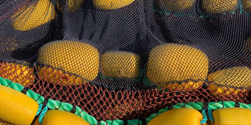 The Importance of Safety and Protection Nets in Children’s Areas and Houses | Netrags | Sports ...