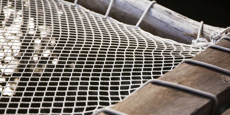 What are Nets and Where They are Used? - Netrags