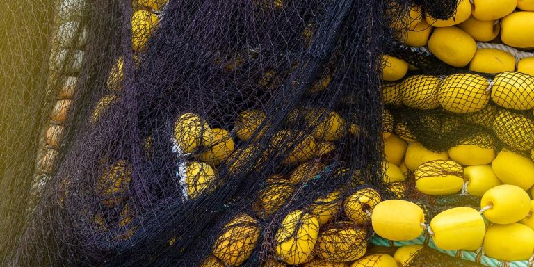 What are Nets and Where They are Used? - Netrags