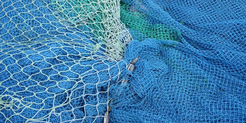 Features of High Quality Fish Netting - Netrags