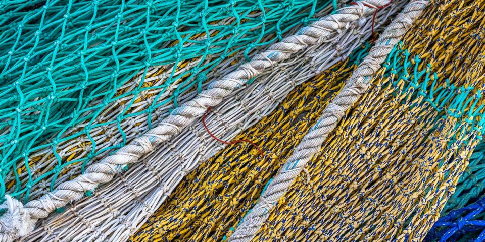 Features of High Quality Fish Netting - Netrags