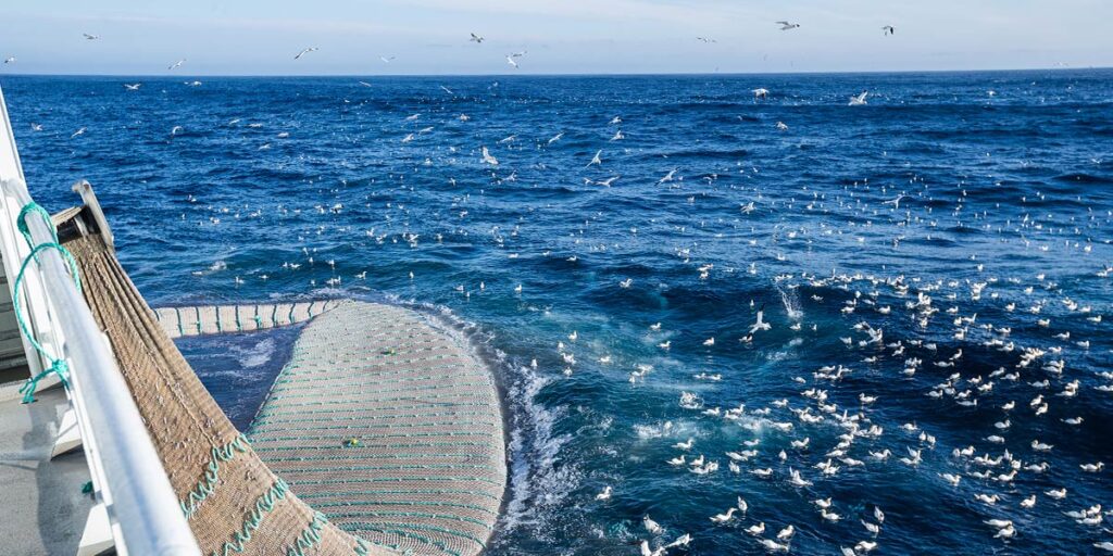 Large Fishing Nets - Netrags